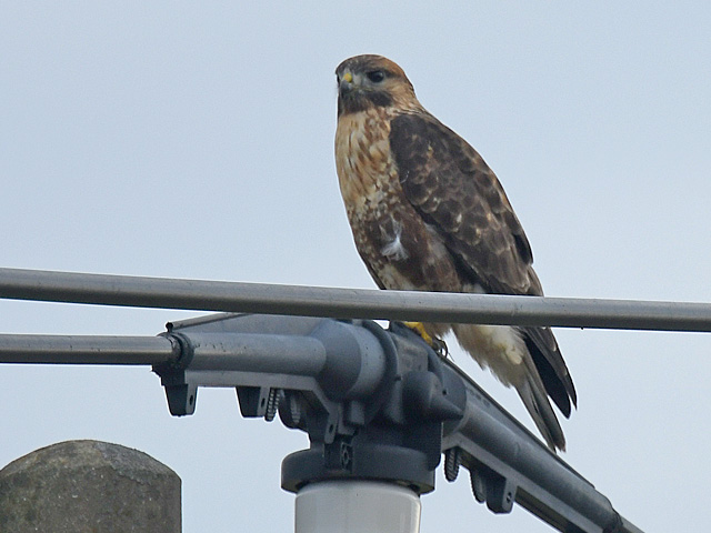 ~0`0ÊNt^ÊN%mg0Á0å0¦0Ò0^˜k0o0m G W0f0D0~0[0“0L0 0 s½y^˜‚0—XH0f0M0~0W0_0 ...